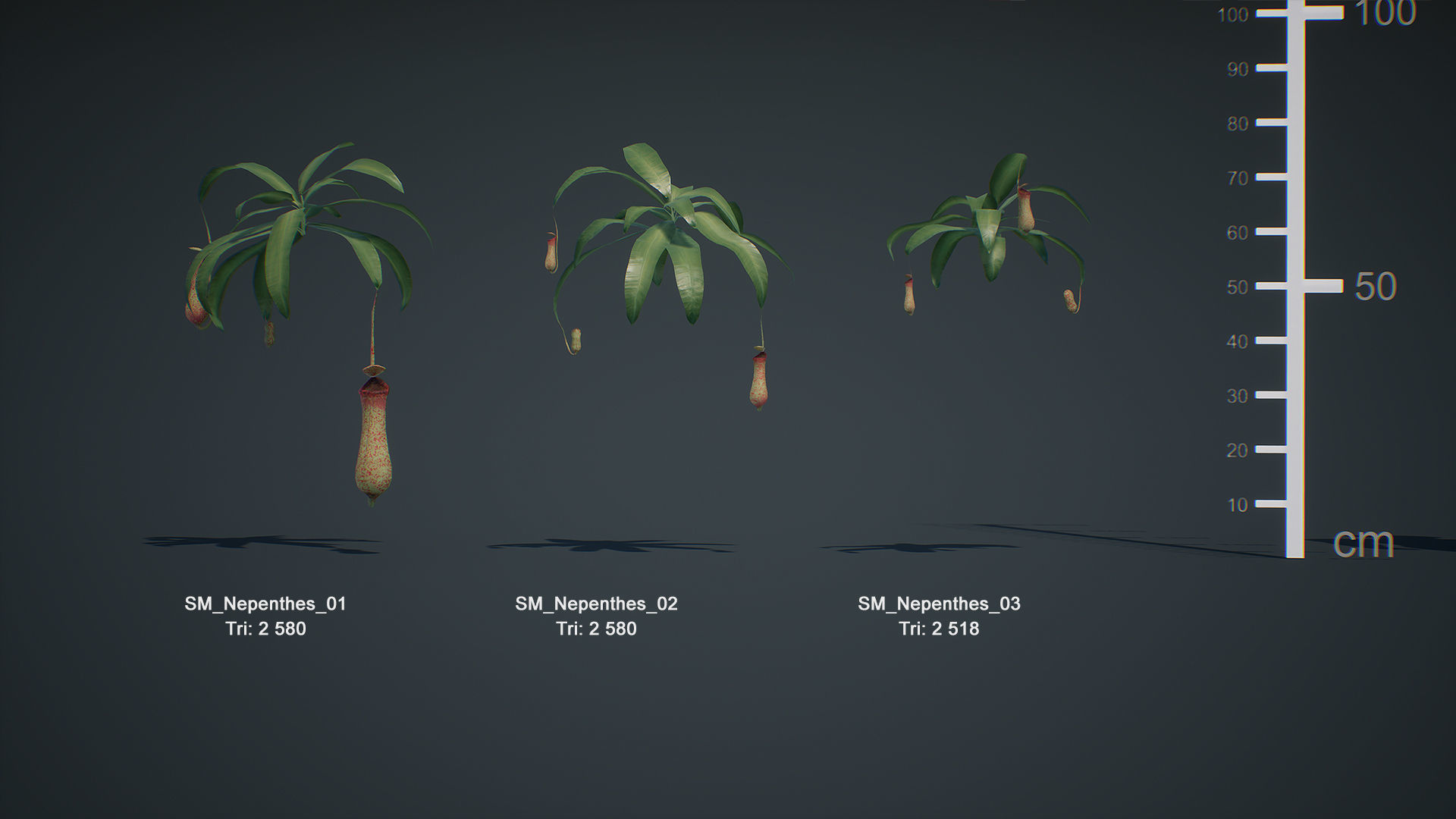 World Pack Jungle Vol 3 3D model | CGTrader