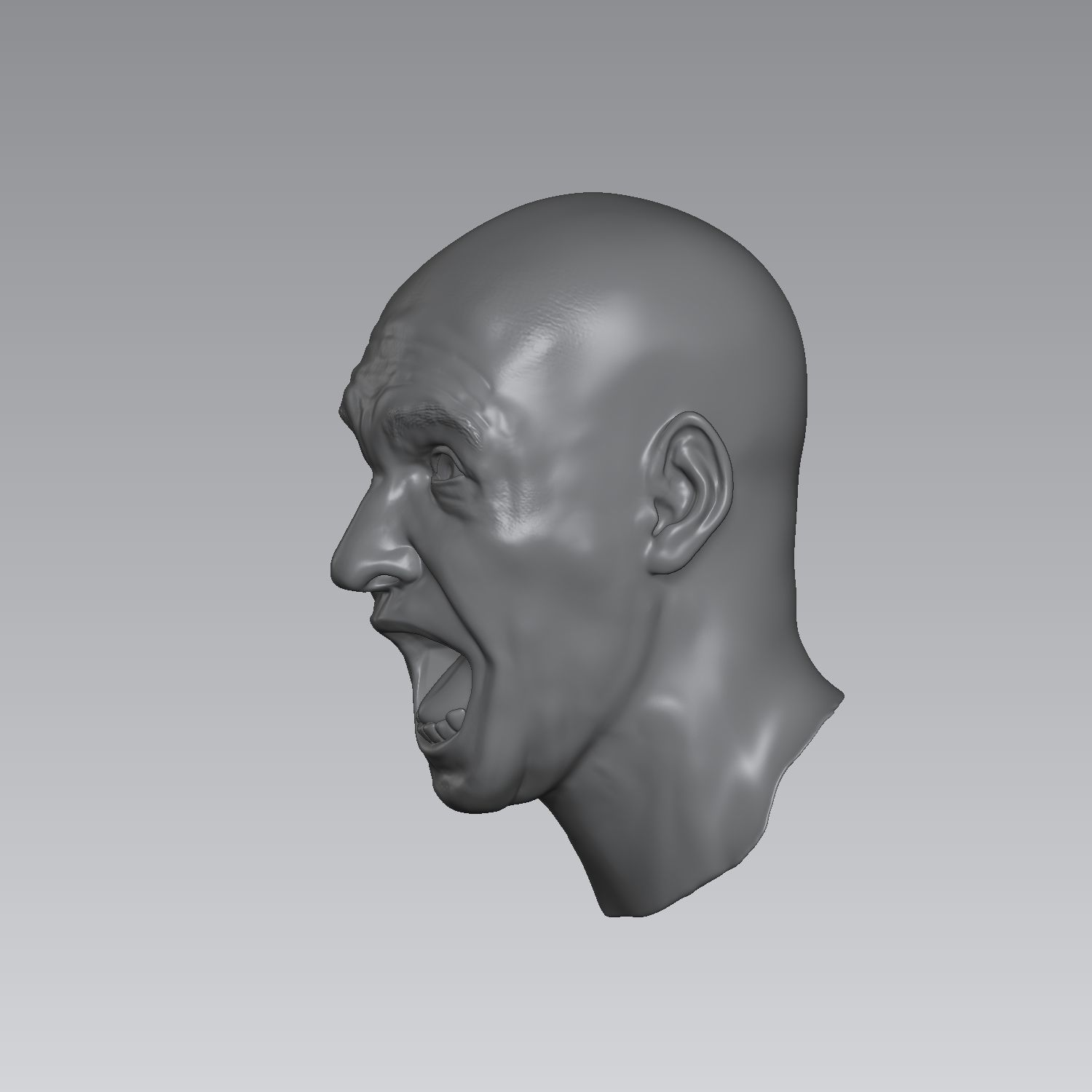 Till Lindemann Smile and Screaming Head model for 3D printing 3D model ...