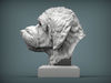 GoldenDoodle bust 3D model 3D printable | CGTrader