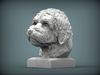 GoldenDoodle bust 3D model 3D printable | CGTrader