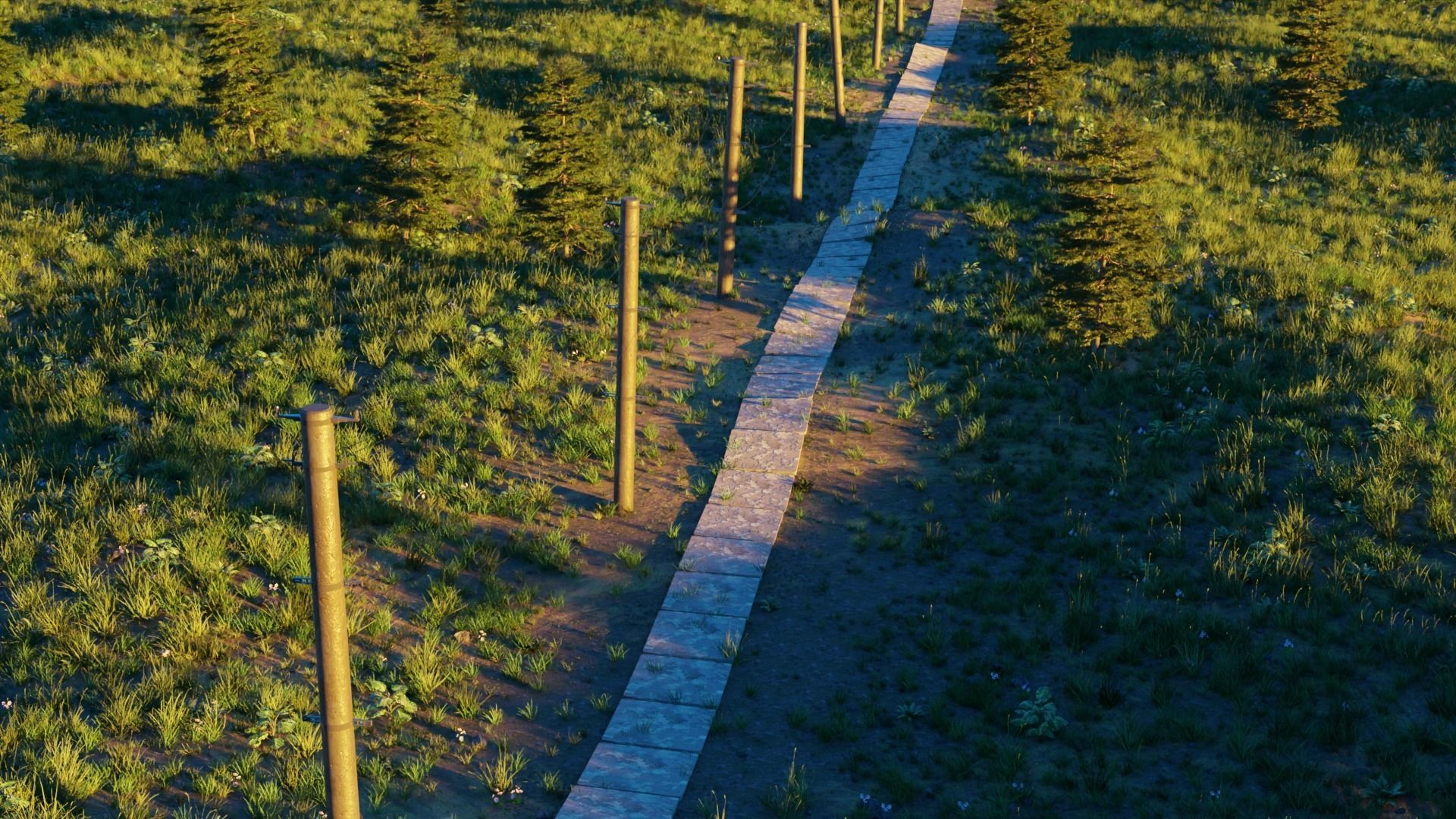 Field road 3D model | CGTrader