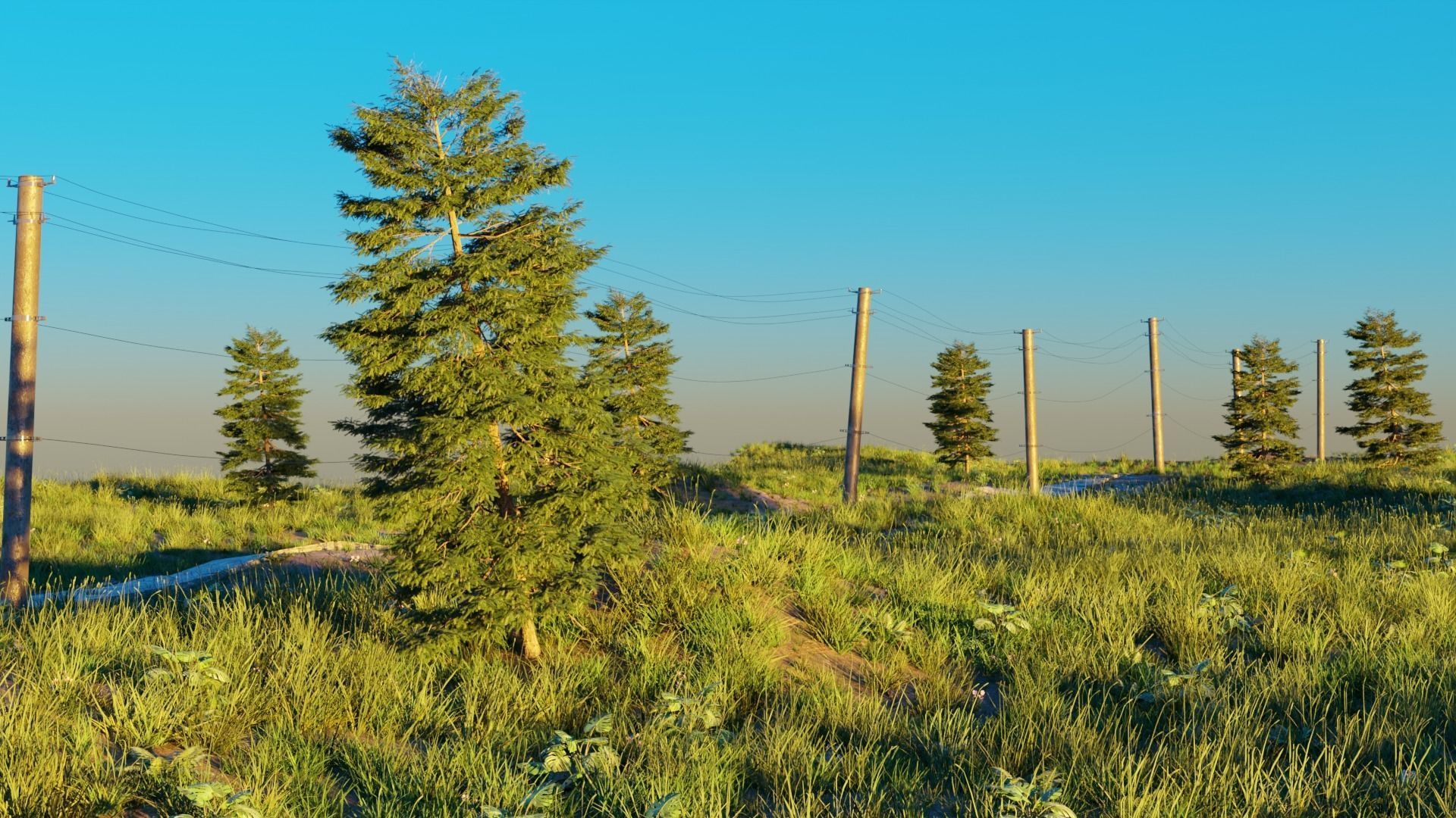 Field road 3D model | CGTrader