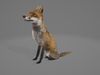 Animated Fox 3D model animated | CGTrader