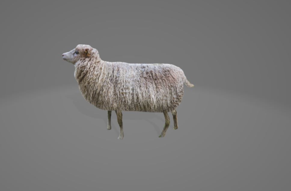 Animated Sheep 3D model animated | CGTrader