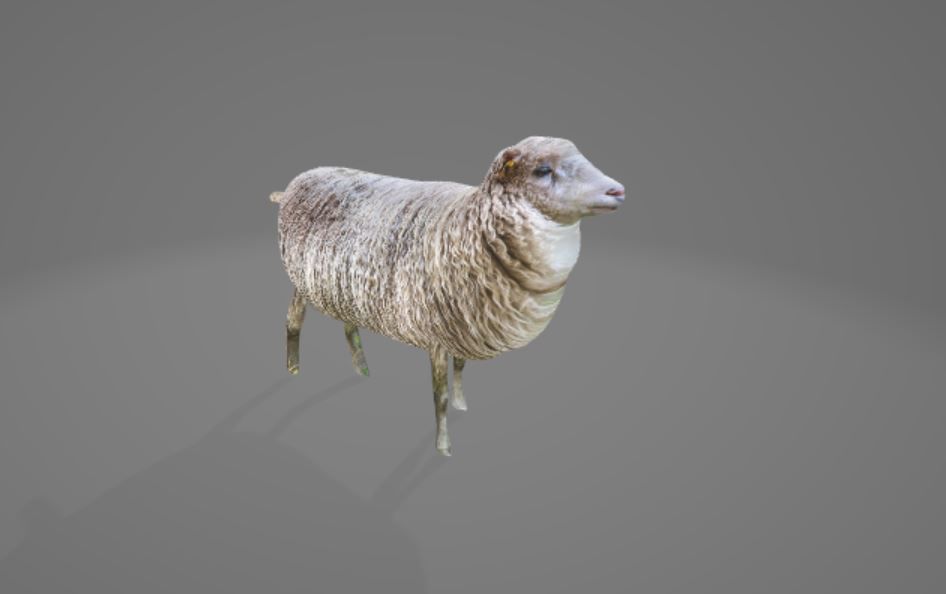 Animated Sheep 3D model animated | CGTrader