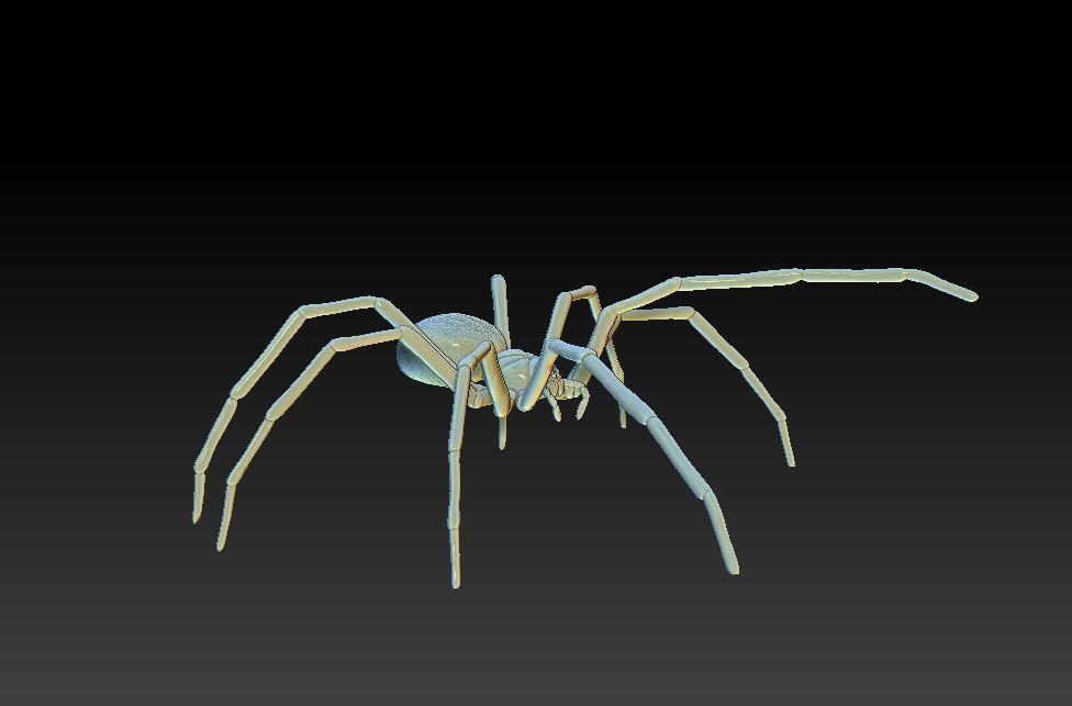 spider 3D model 3D printable | CGTrader
