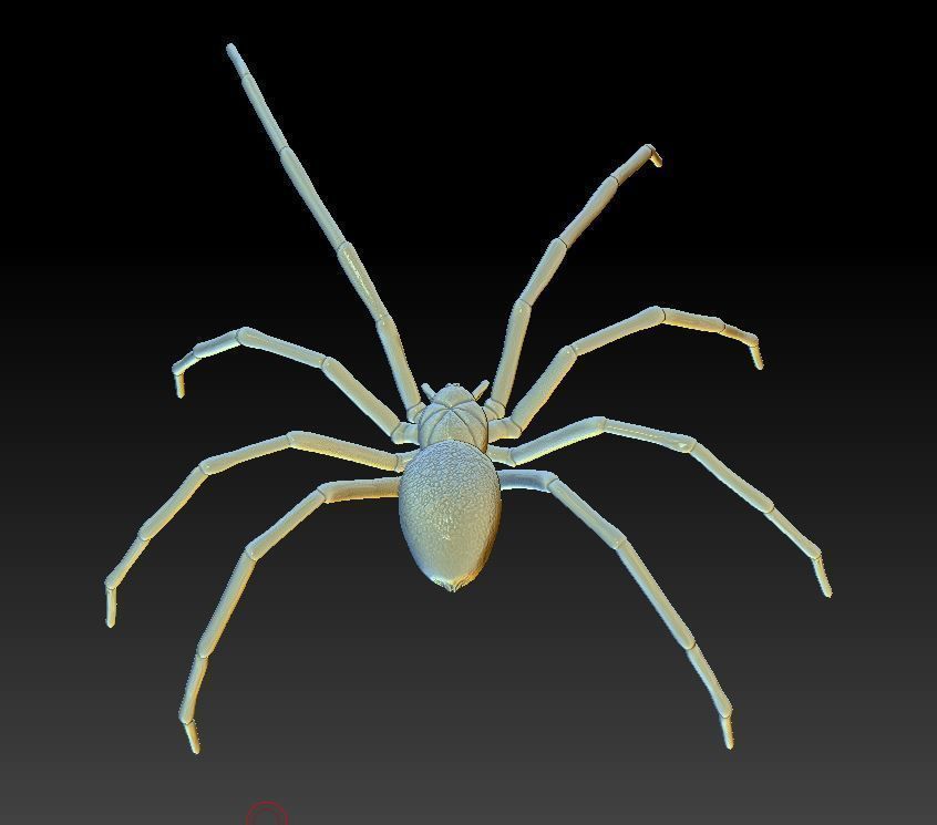 spider 3D model 3D printable | CGTrader