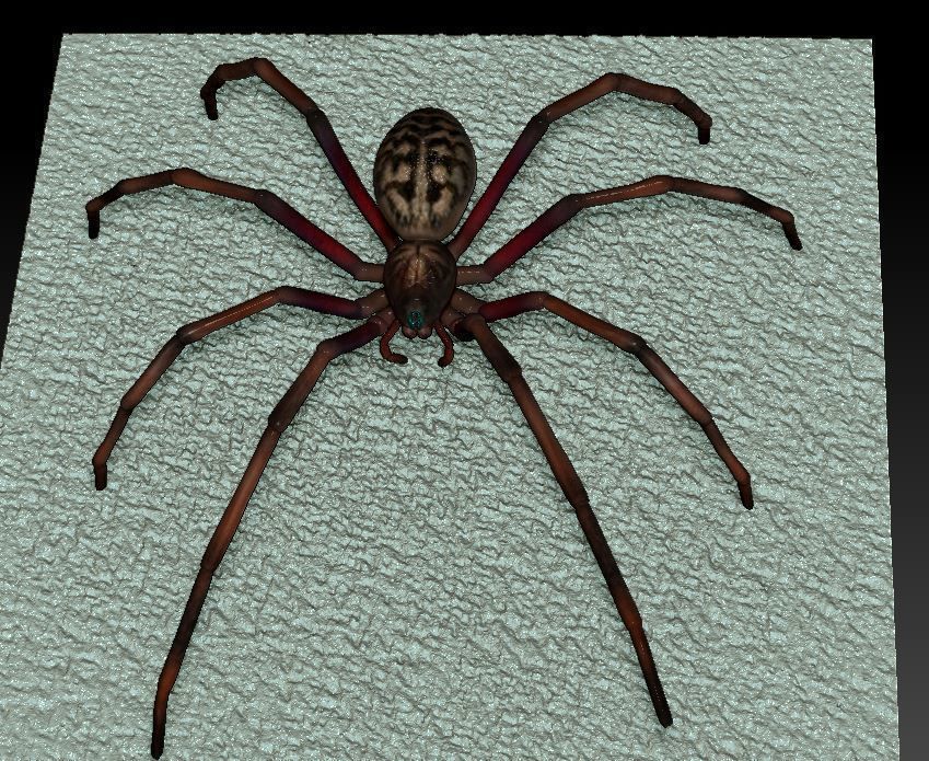 spider 3D model 3D printable | CGTrader