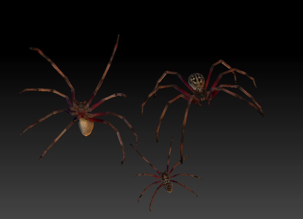 spider 3D model 3D printable | CGTrader