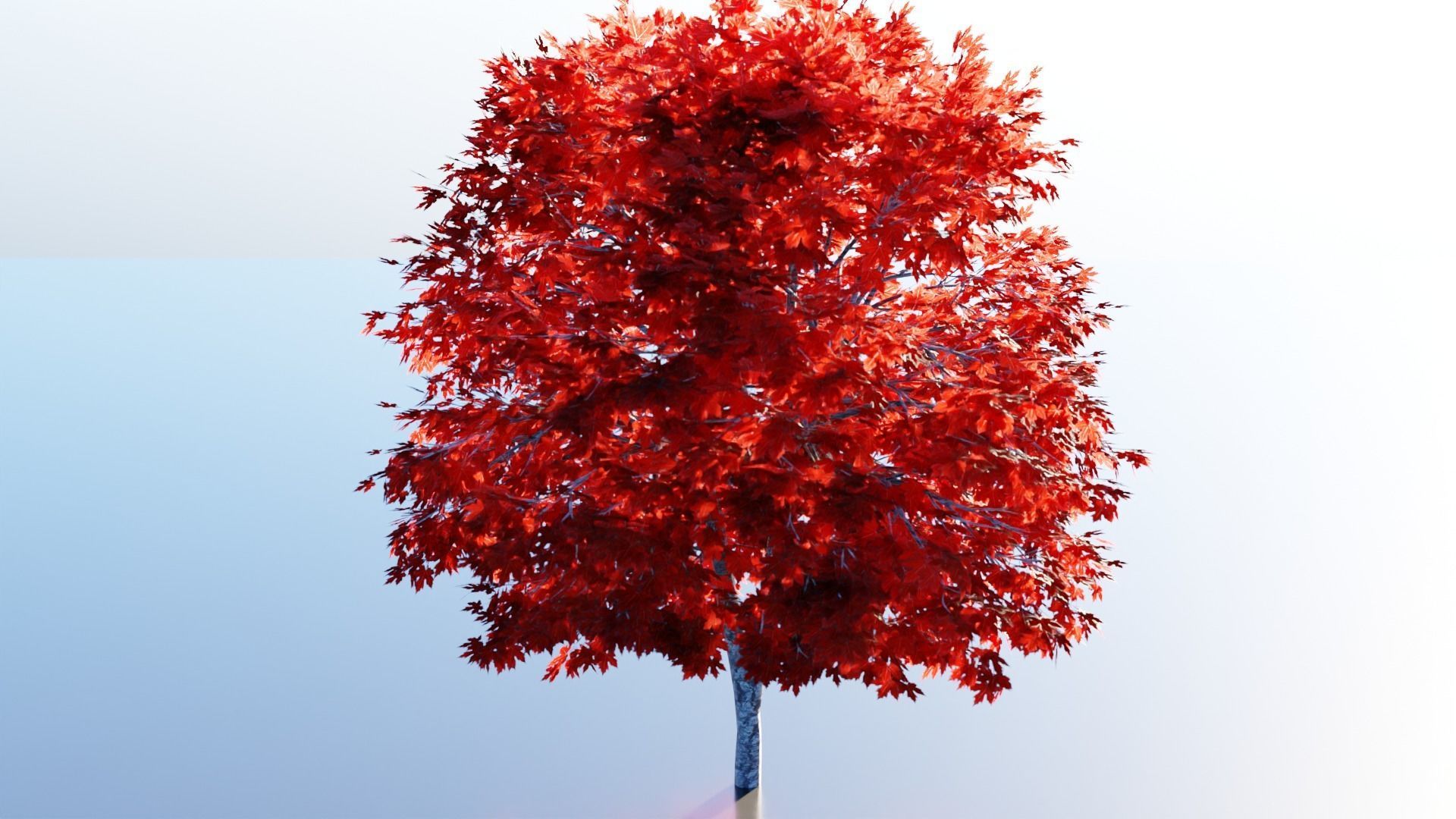 3D model Red Maple Tree Realistic 3D model VR / AR / low-poly | CGTrader