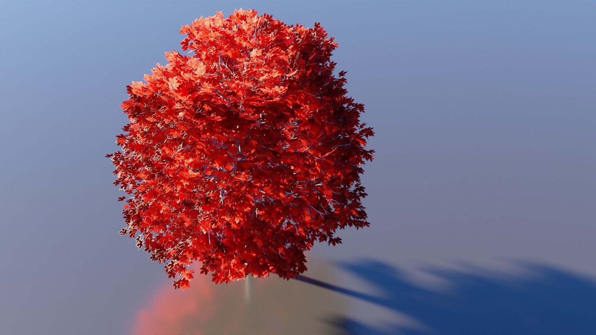 3D model Red Maple Tree Realistic 3D model VR / AR / low-poly | CGTrader