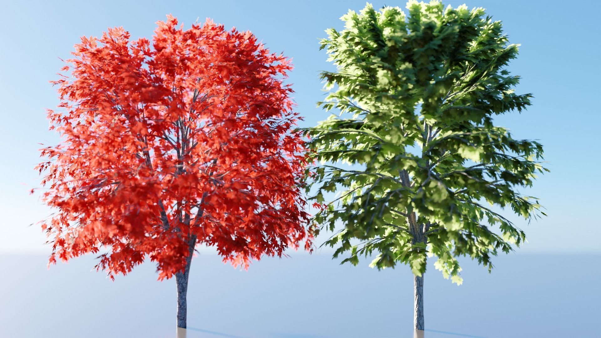 3D model Maple Tree Pack - Realistic Tree 3d Model VR / AR / low-poly ...