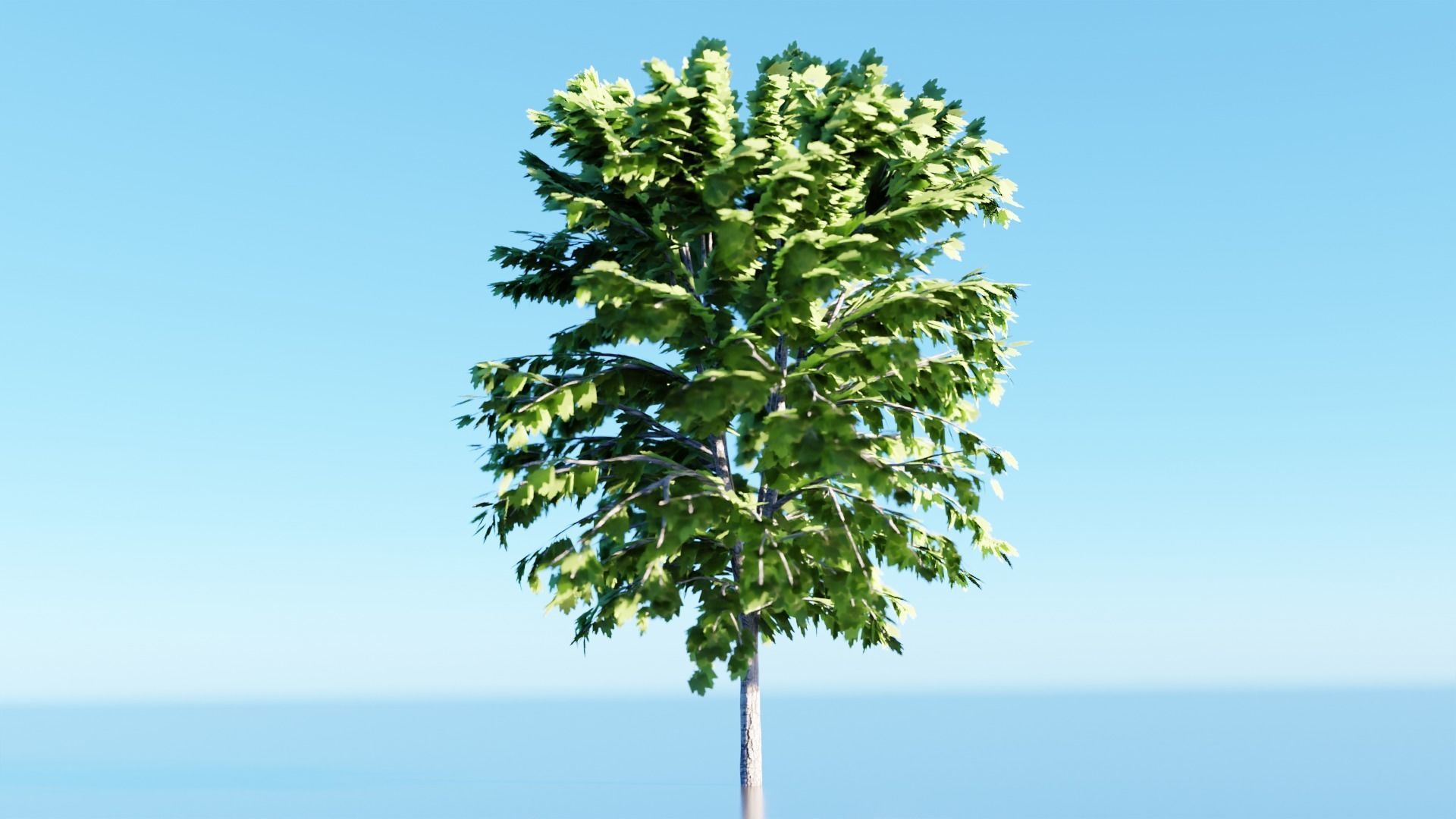 3D model Maple Tree Pack - Realistic Tree 3d Model VR / AR / low-poly ...