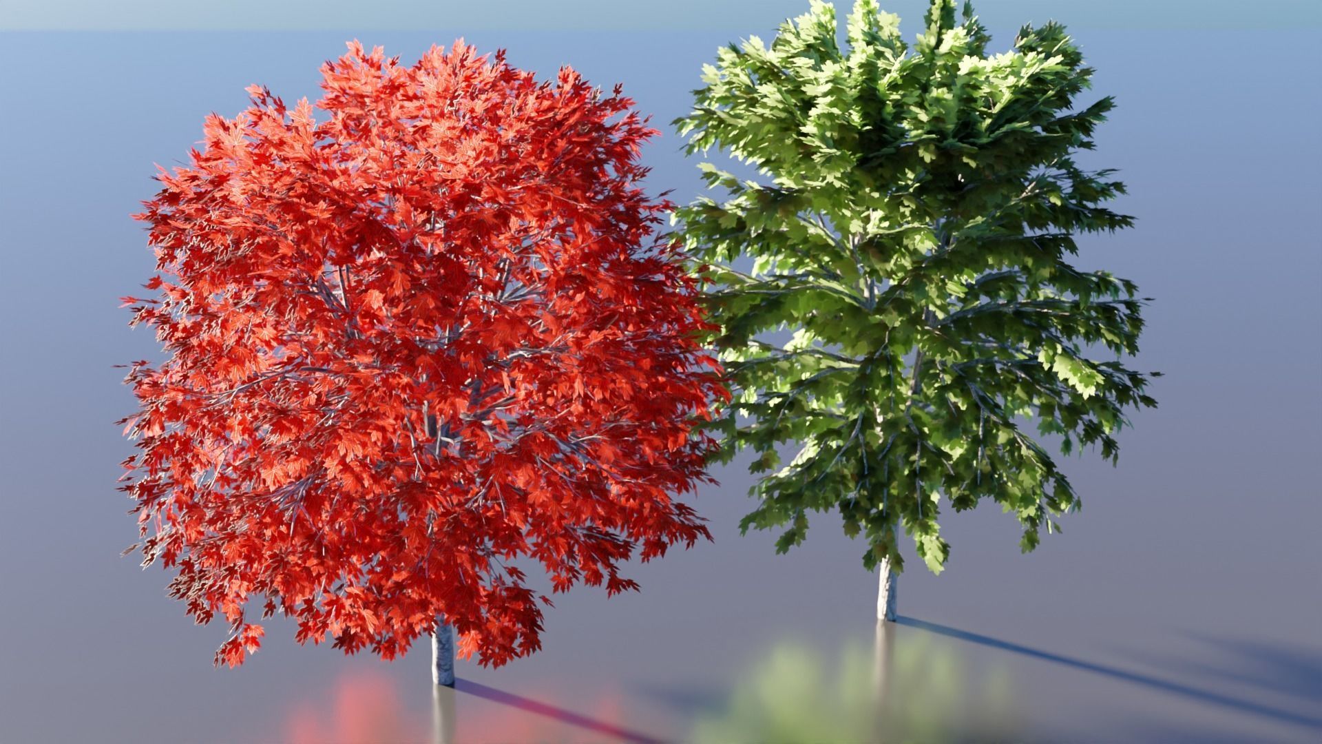 3D model Maple Tree Pack - Realistic Tree 3d Model VR / AR / low-poly ...