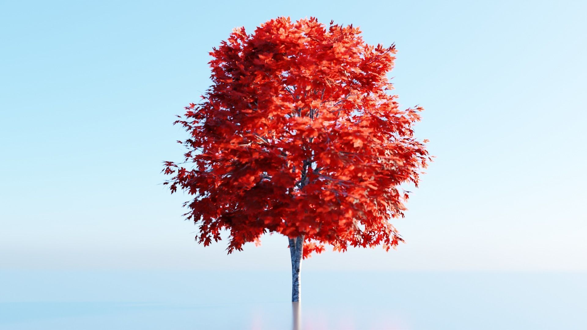 3D model Maple Tree Pack - Realistic Tree 3d Model VR / AR / low-poly ...