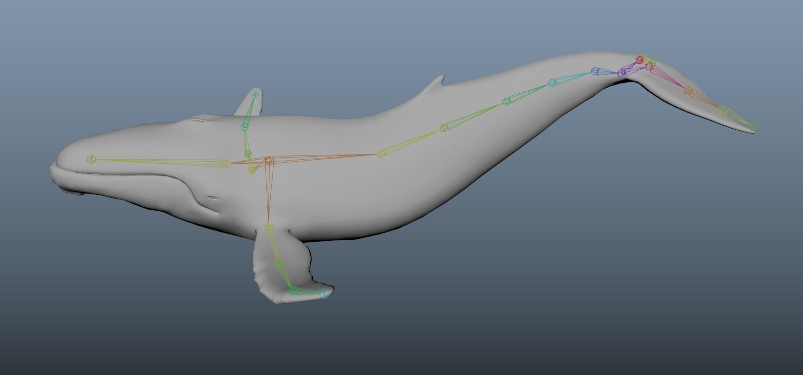 3D model Humpback Whale Animated VR / AR / low-poly | CGTrader
