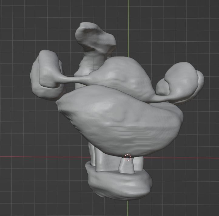 3D Model of Pelvis Organs 3D model 3D printable | CGTrader