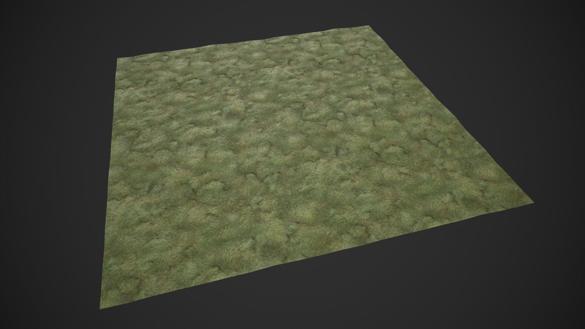 Texture Moss Texture and Material VR / AR / low-poly | CGTrader