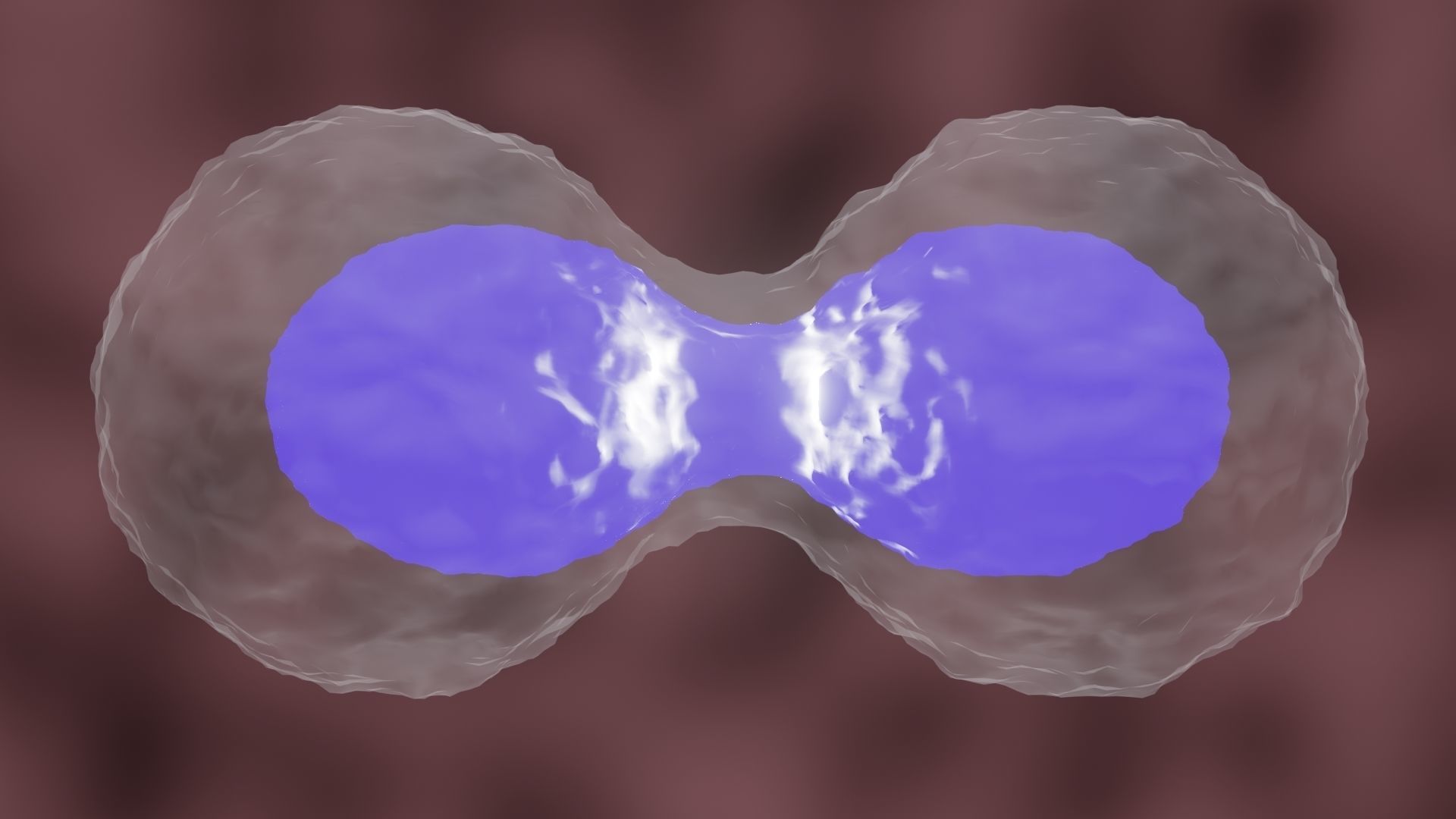 Cell Division or Mitosis 3D model | CGTrader