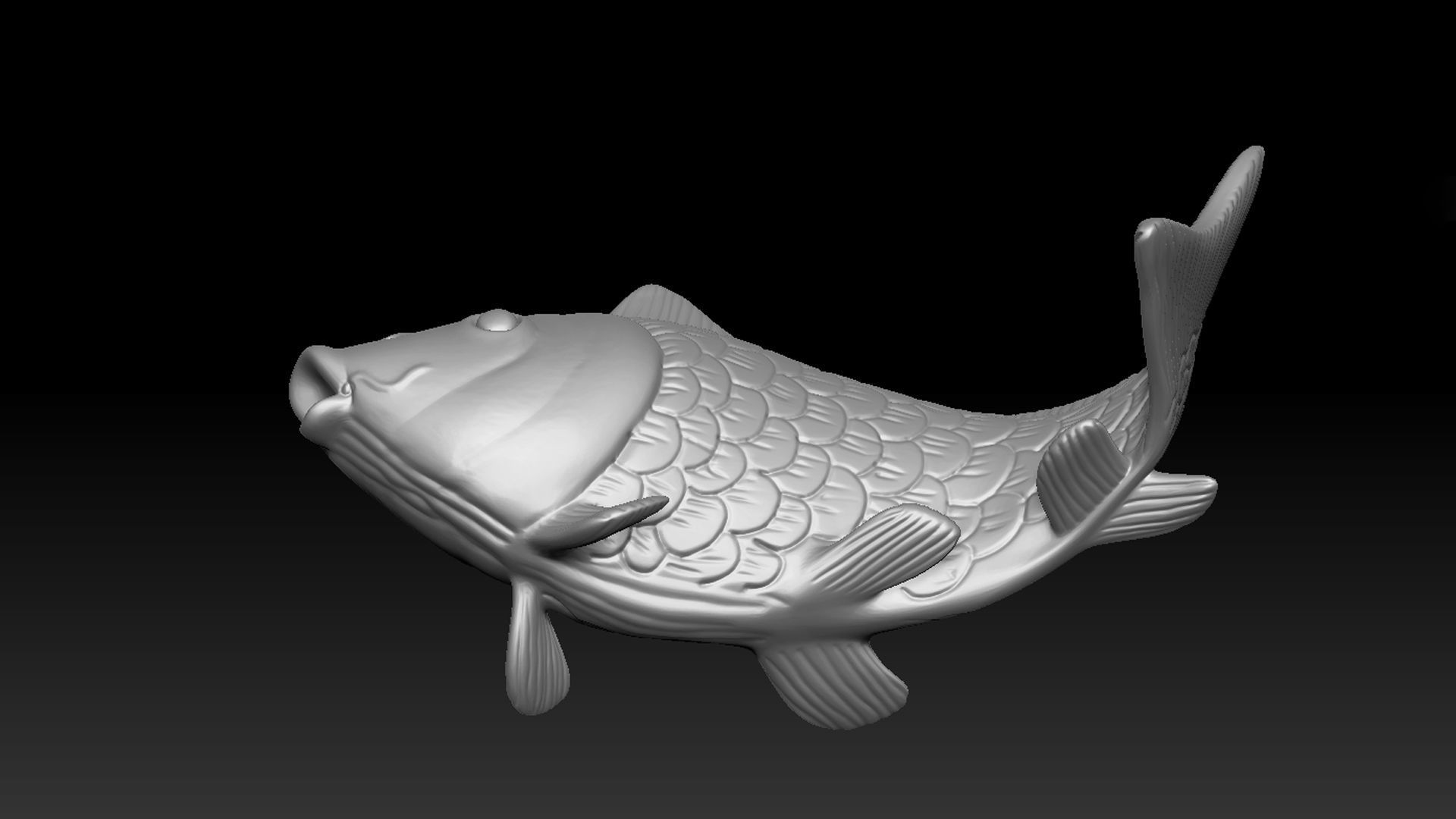 Carp print 3d 3D model 3D printable | CGTrader
