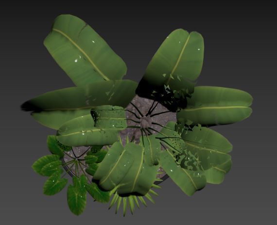 3D model collection tropical set 01 VR / AR / low-poly | CGTrader