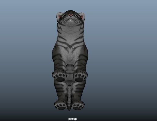 3D model Gray Tiger Kids cubs VR / AR / low-poly | CGTrader