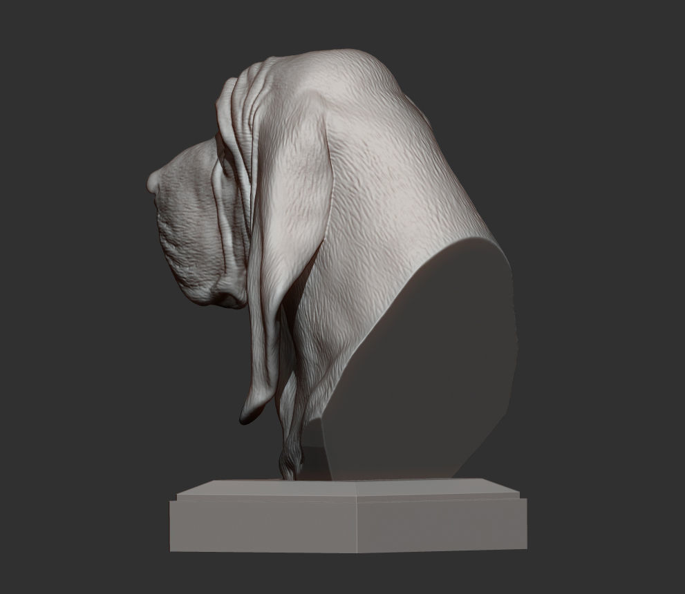 BLOODHOUND 3D model 3D printable | CGTrader