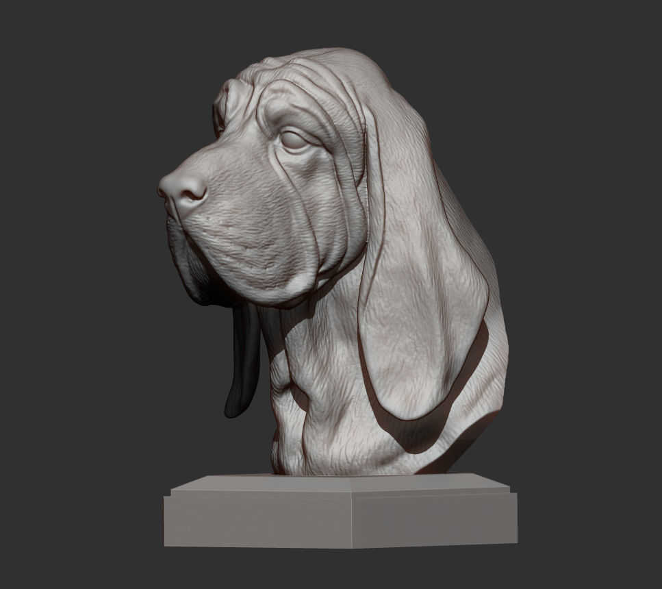 BLOODHOUND 3D model 3D printable | CGTrader