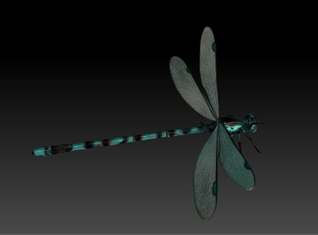 Dragonfly 3D model 3D printable | CGTrader