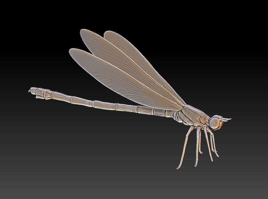 Dragonfly 3D model 3D printable | CGTrader