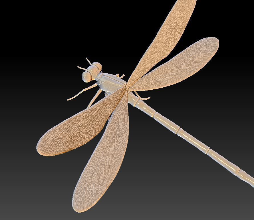 Dragonfly 3D model 3D printable | CGTrader