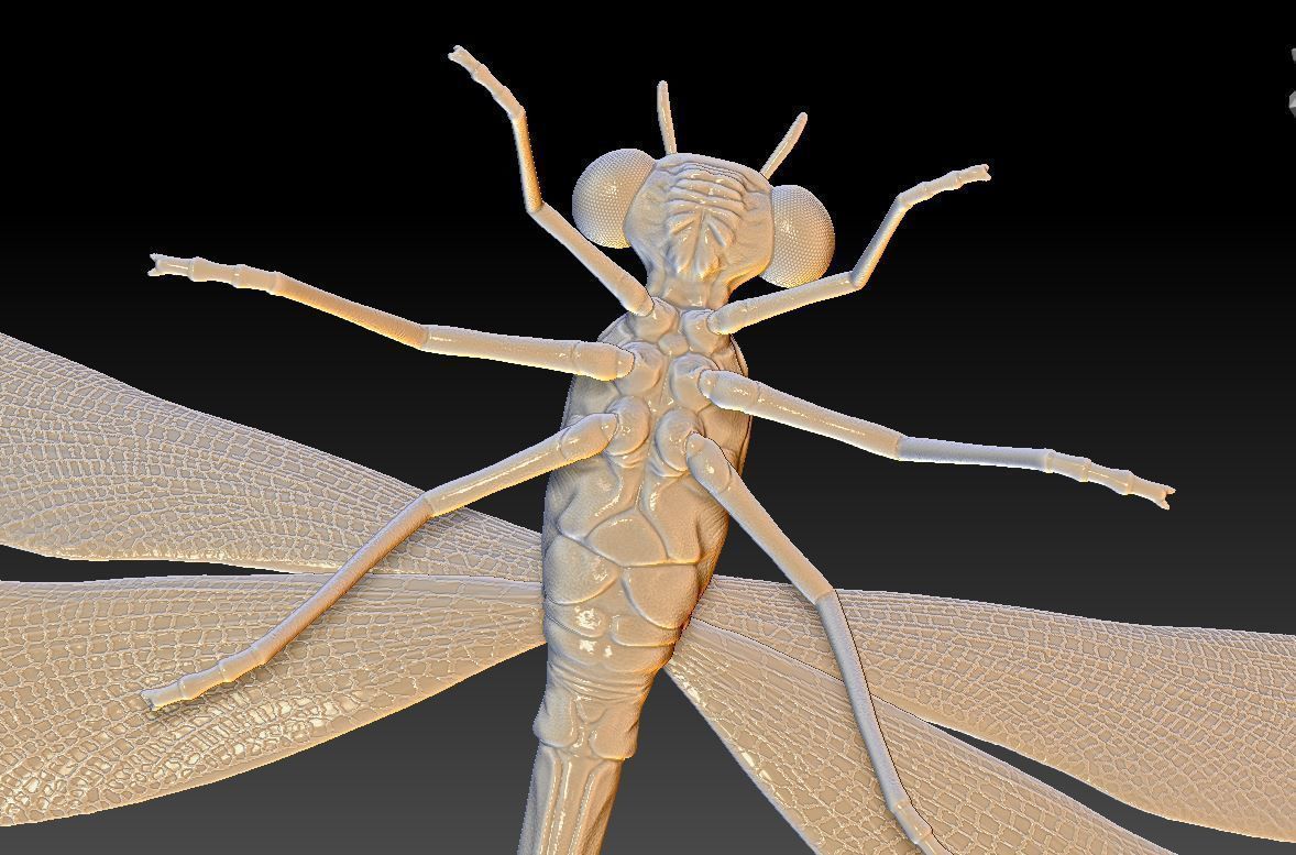 Dragonfly 3D model 3D printable | CGTrader