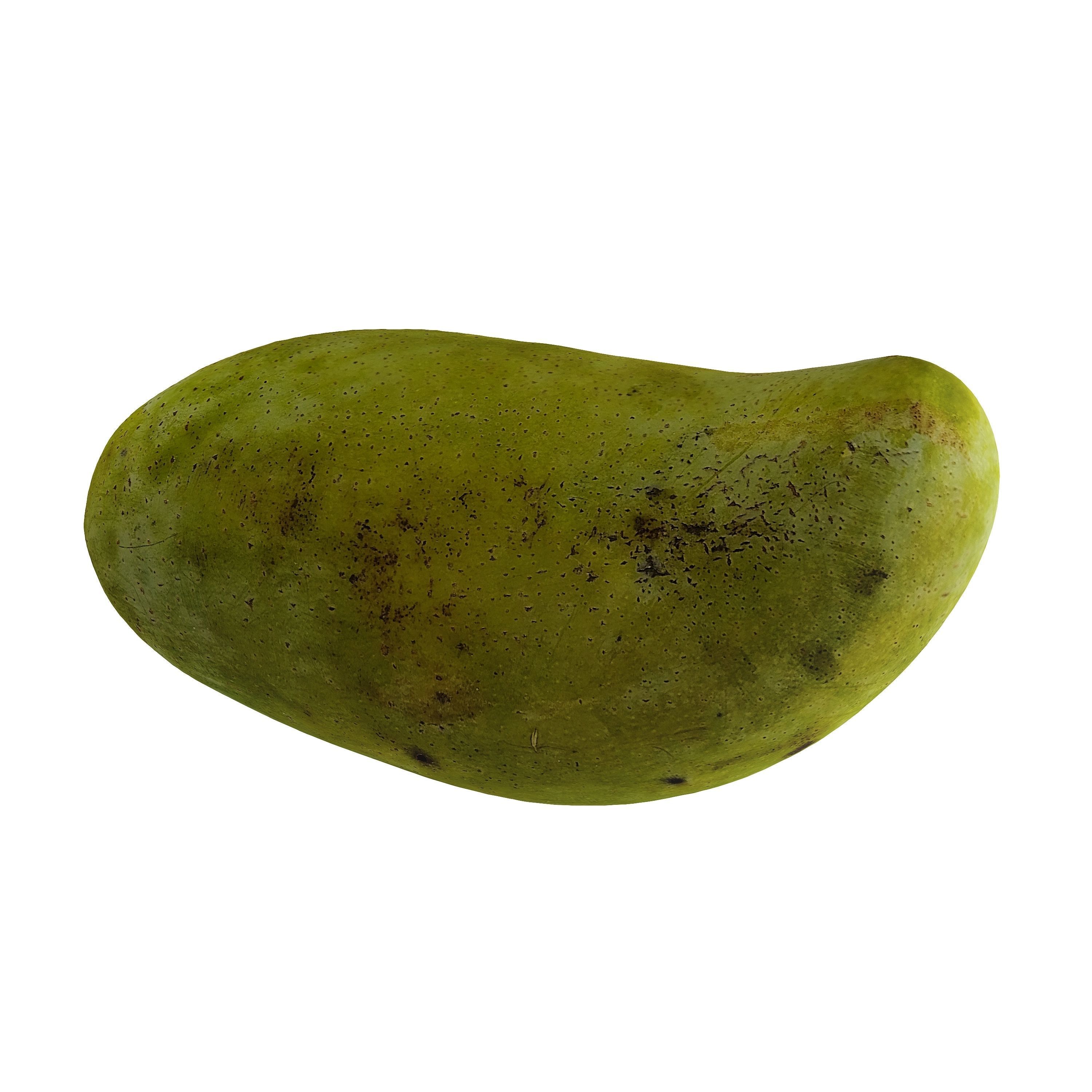 Mango - Mangifera indica L 3D model | CGTrader