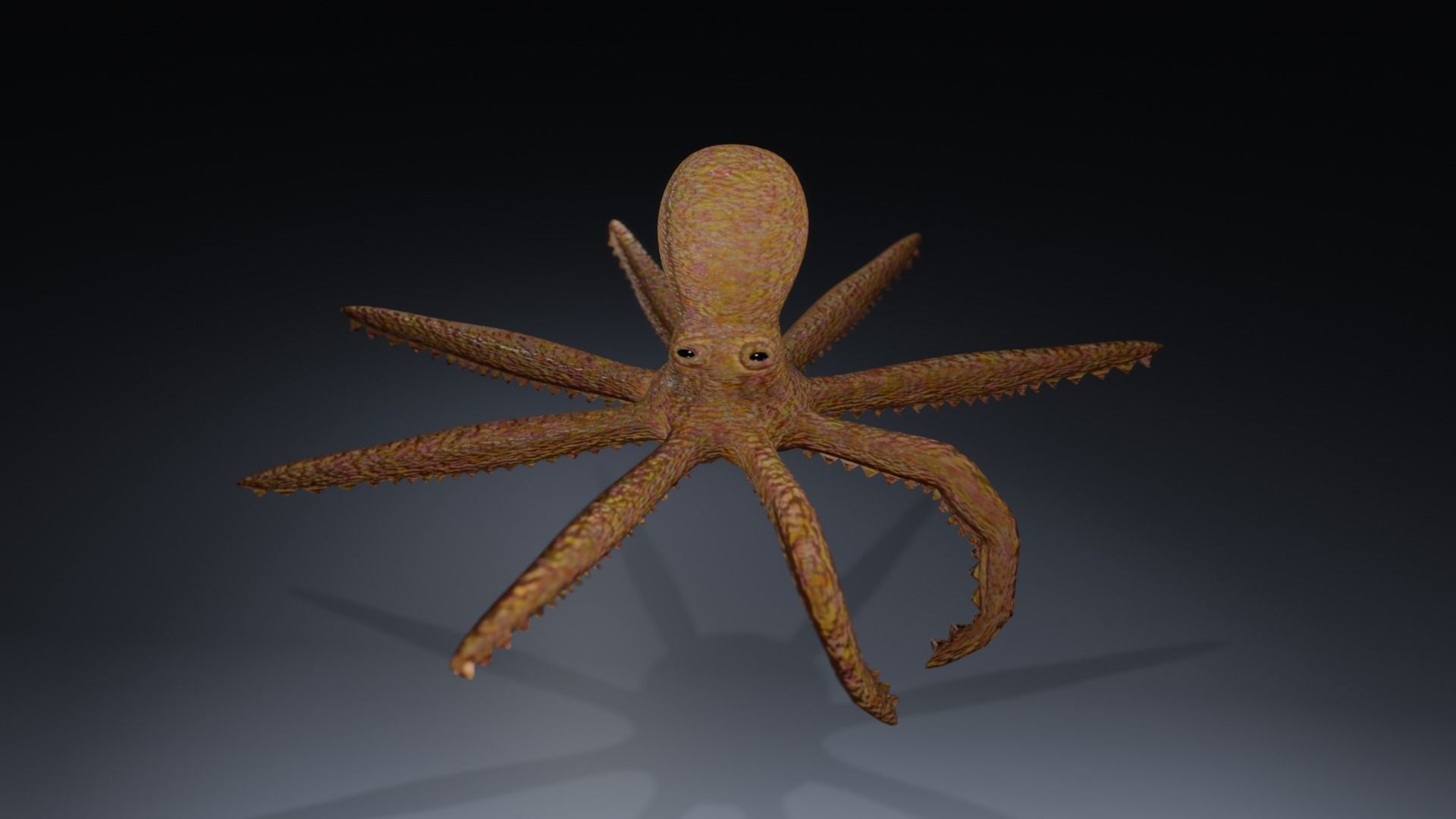 Blender Rigged Octopus 3D model animated rigged | CGTrader