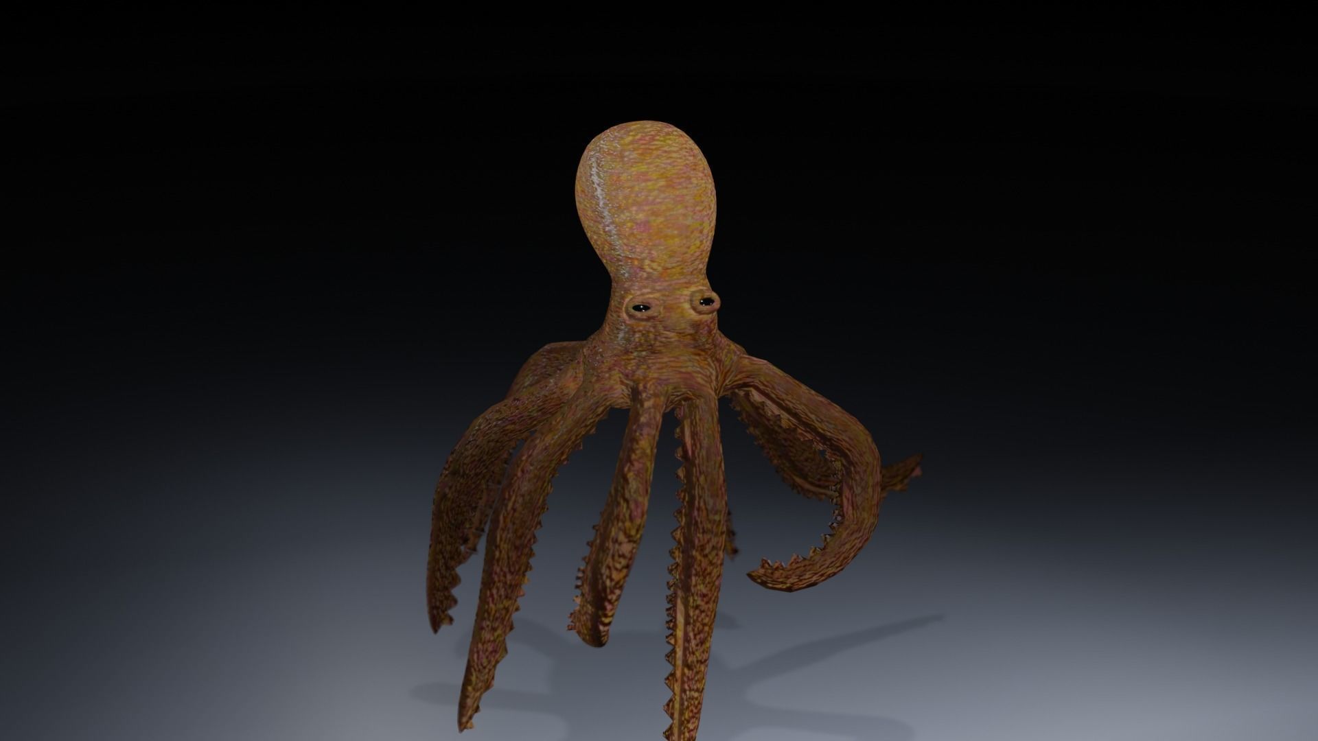 Blender Rigged Octopus 3D model animated rigged | CGTrader