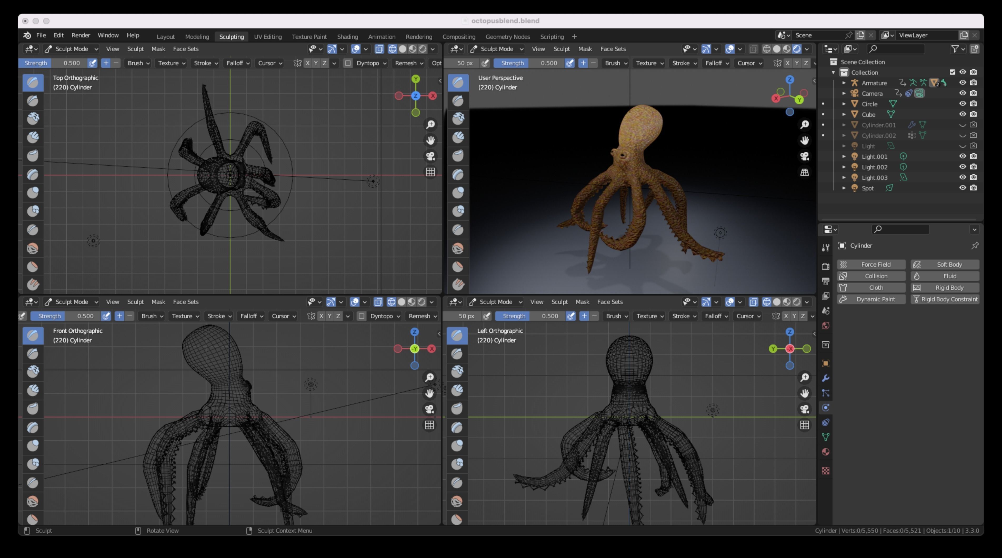 Blender Rigged Octopus 3D model animated rigged | CGTrader