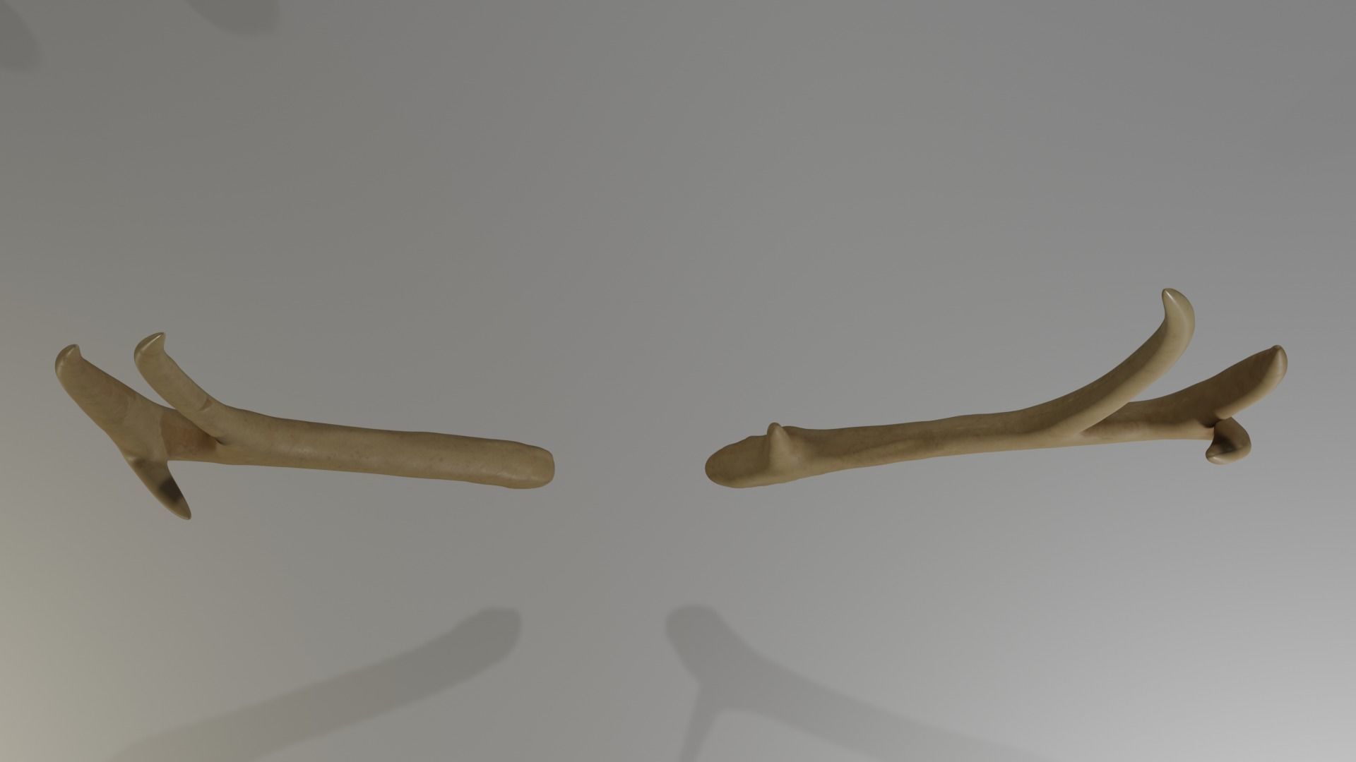 Deer antlers 3d Model 3D model | CGTrader