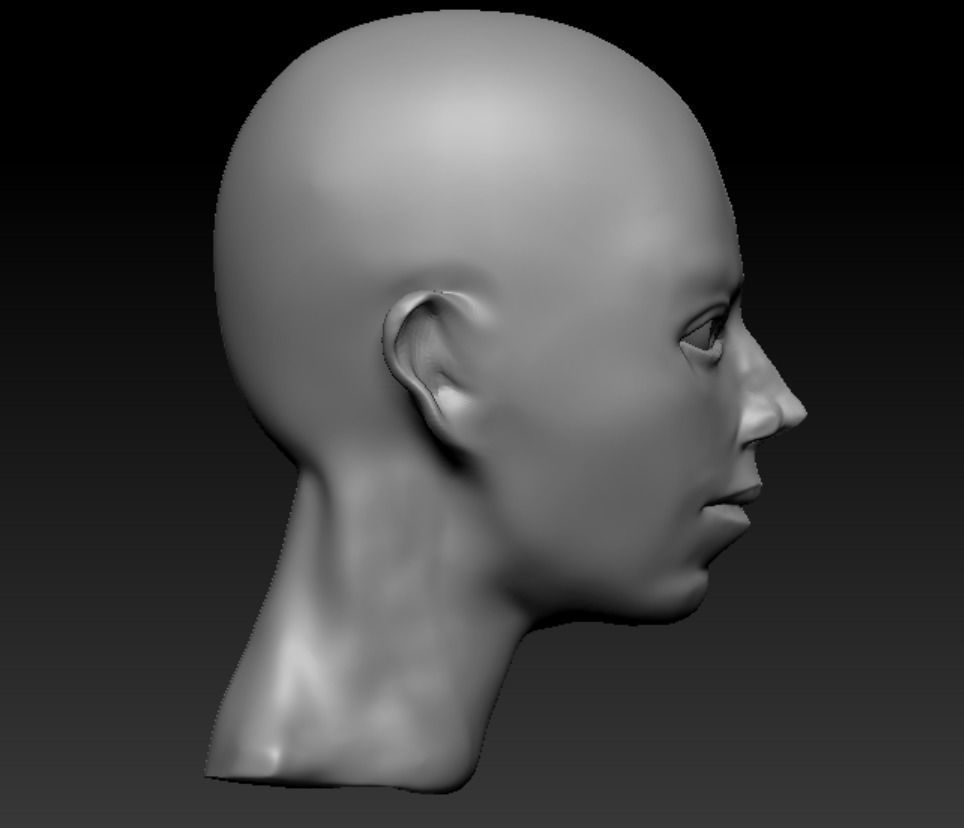 Asian Women Head 3D Modeling Exercise 3D model | CGTrader