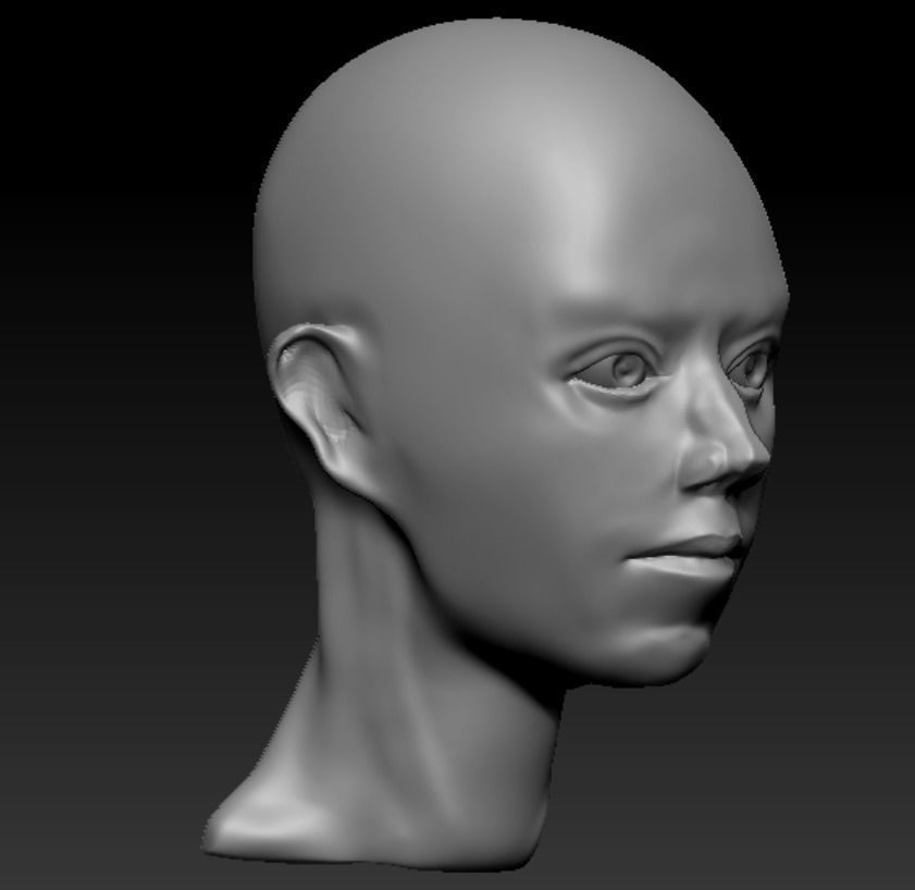 Asian Women Head 3D Modeling Exercise 3D model | CGTrader