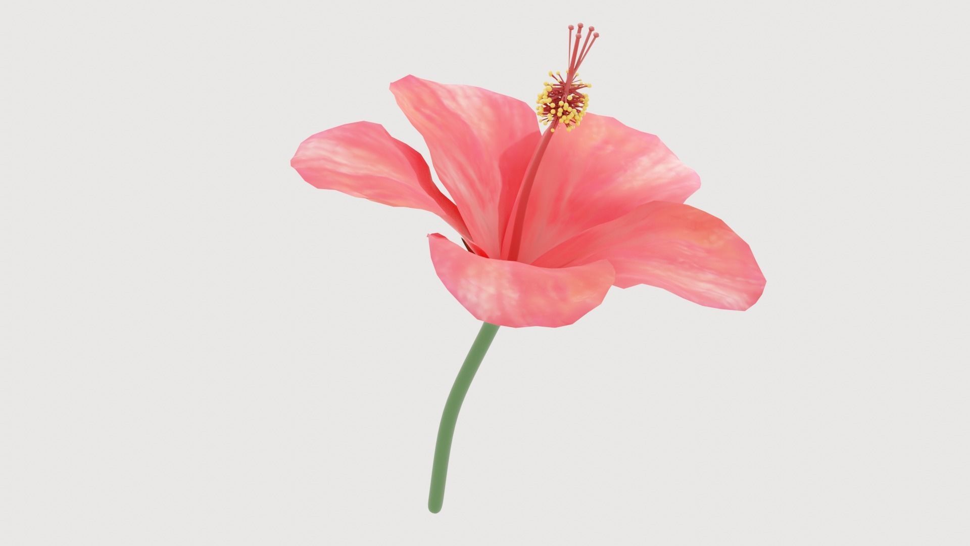 Hibiscus Textured 3D model | CGTrader