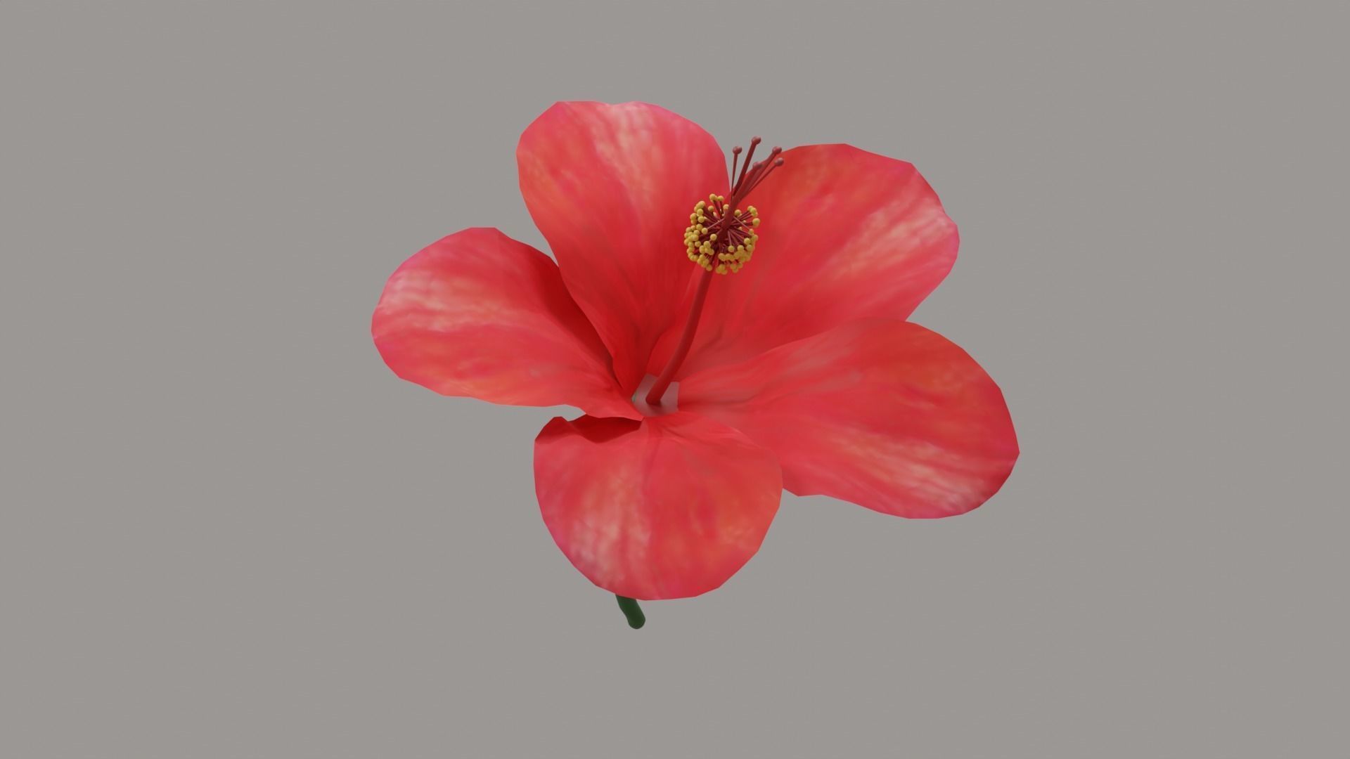 Hibiscus Textured 3D model | CGTrader
