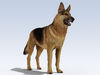 3D model German Shepherd Dog Rig VR / AR / low-poly | CGTrader