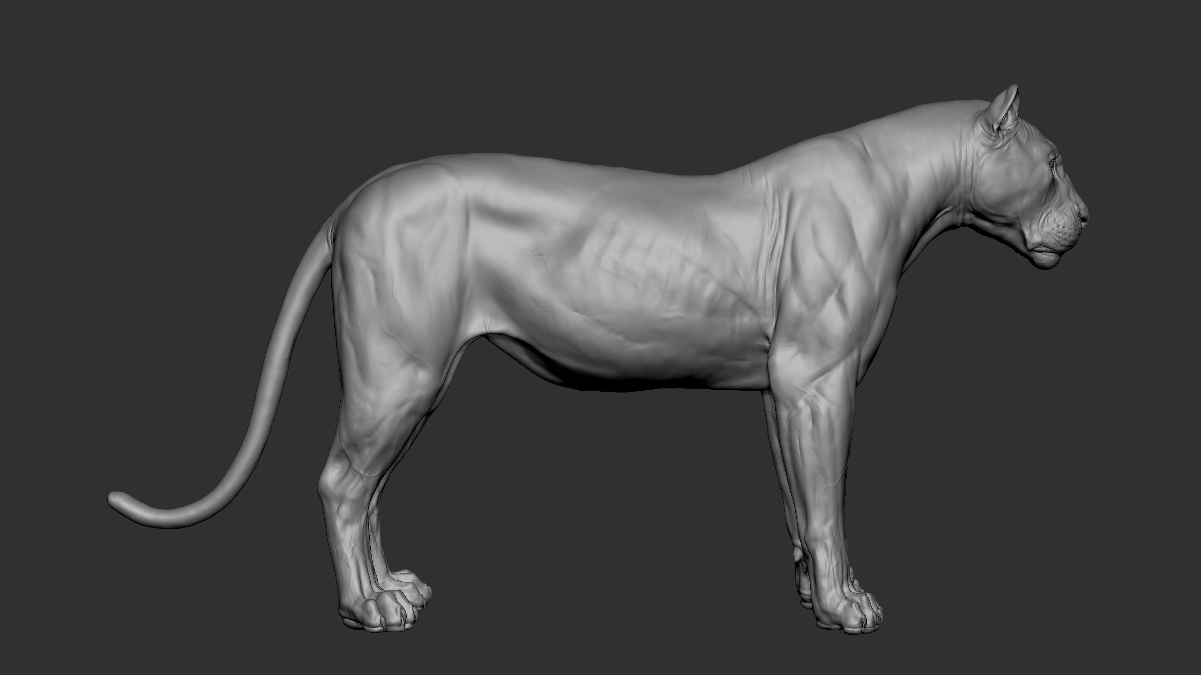 3d Model Lioness 3d Model Vr Ar Low Poly Cgtrader
