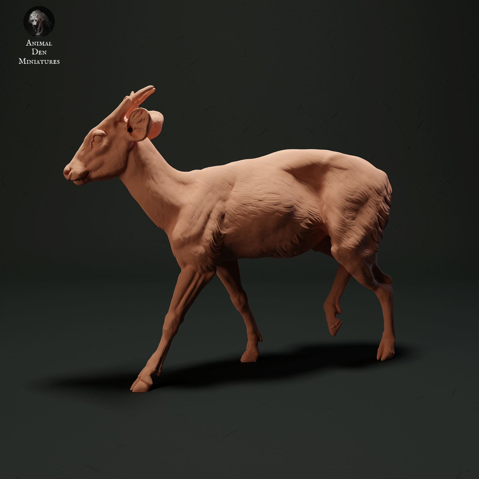 Muntjac Deer Walking 3D model 3D printable | CGTrader