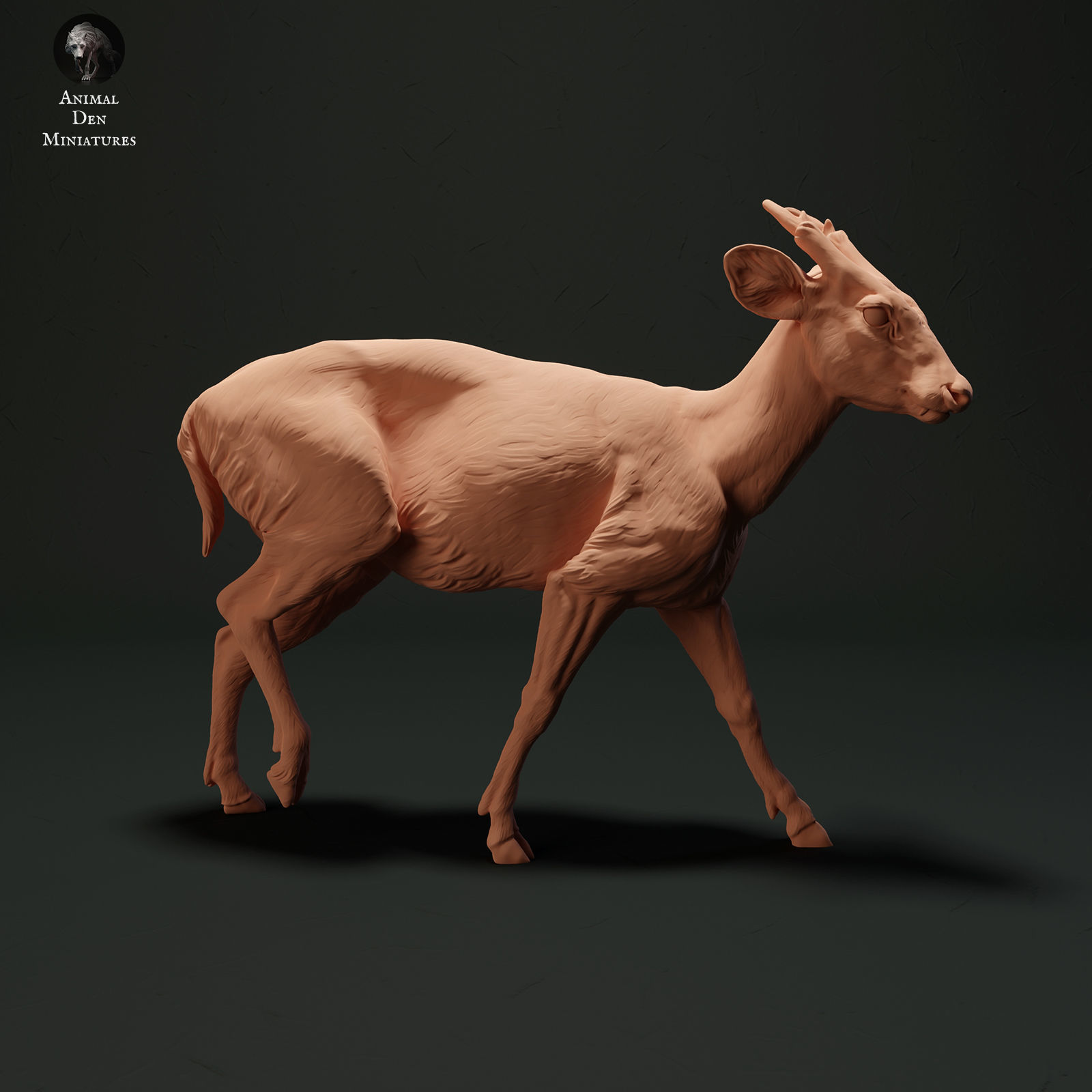 Muntjac Deer Walking 3D model 3D printable | CGTrader