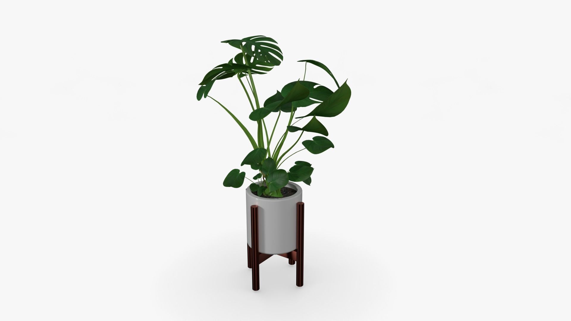 3D model Monstera Pot VR / AR / low-poly | CGTrader