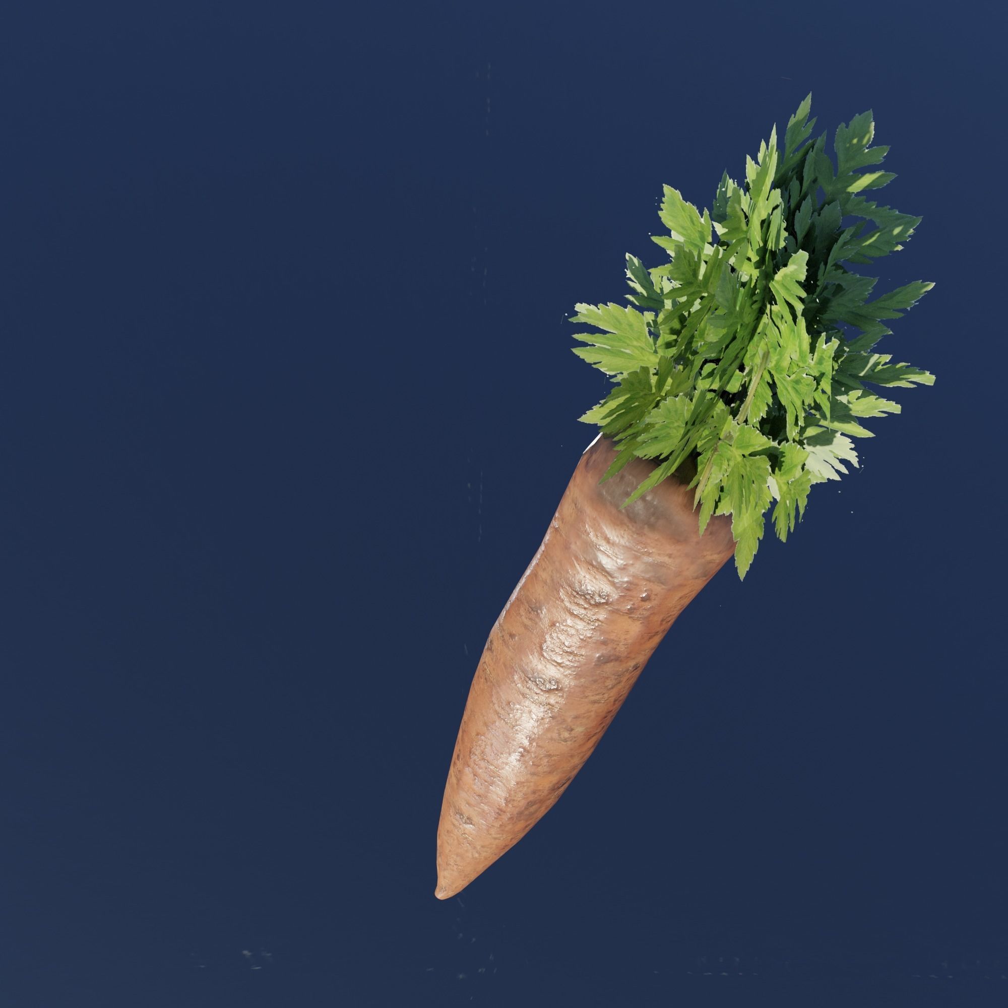 Simple Carrot 3D model | CGTrader