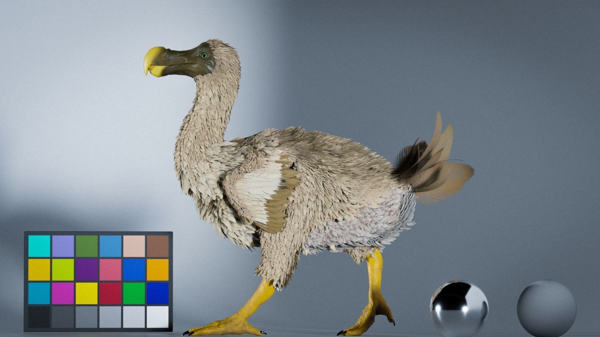 Dodo Animated 3D model animated rigged | CGTrader