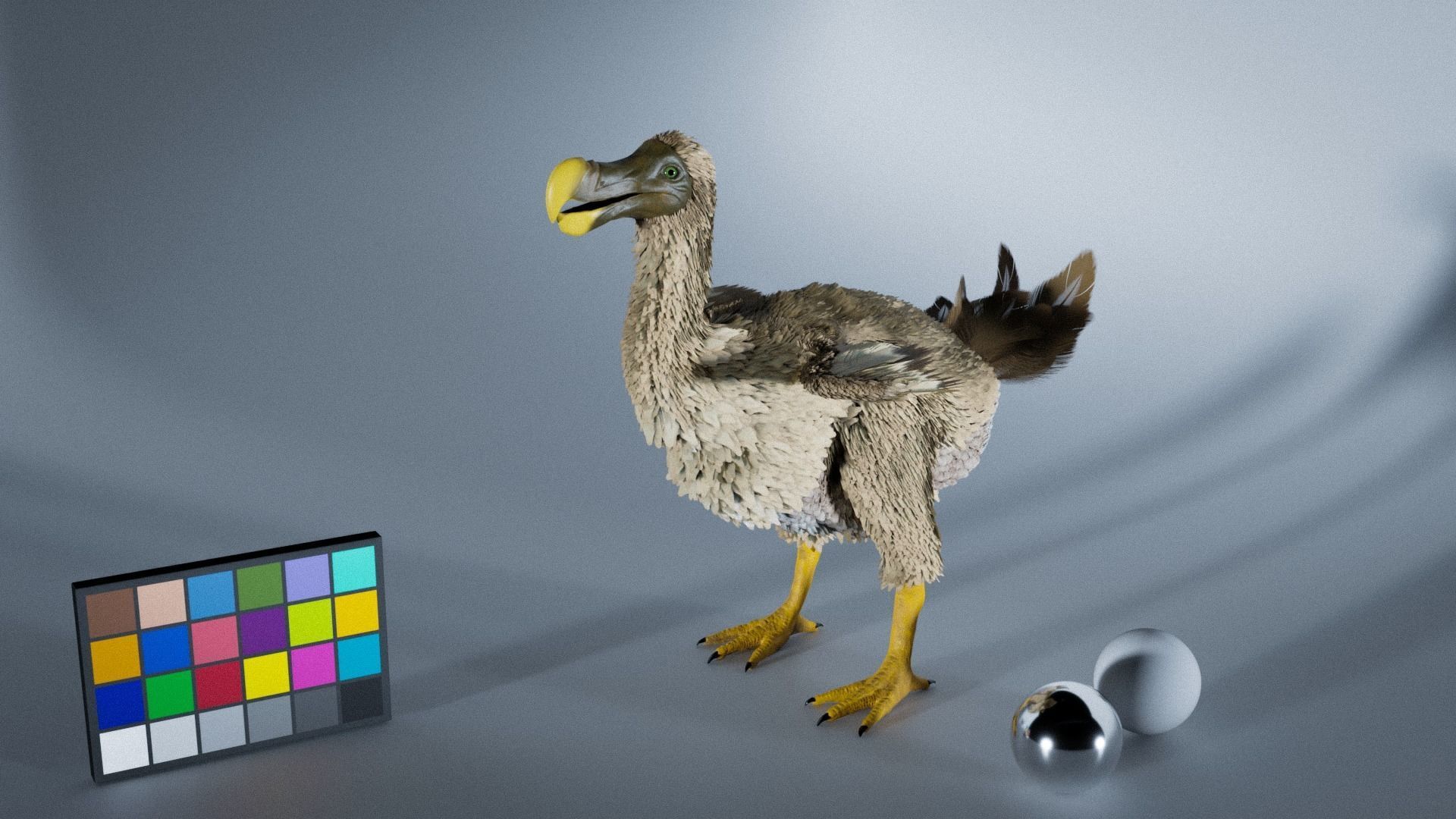 Dodo Animated 3D model animated rigged | CGTrader