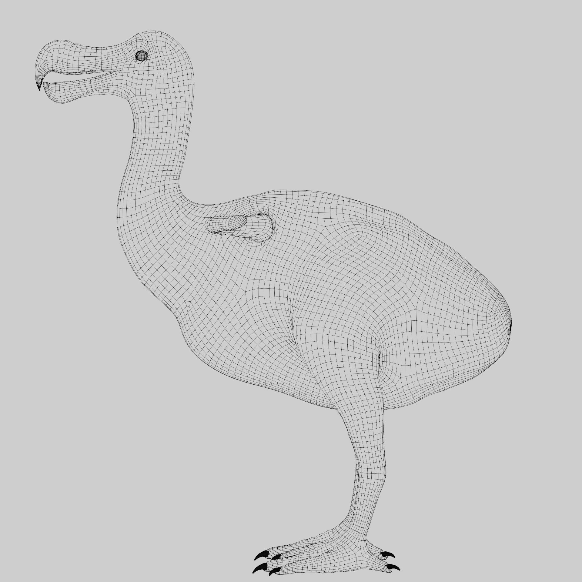 Dodo Animated 3D model animated rigged | CGTrader